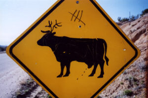 Malcolm M. Knapp, Inc. | Marketing Research and Analysis